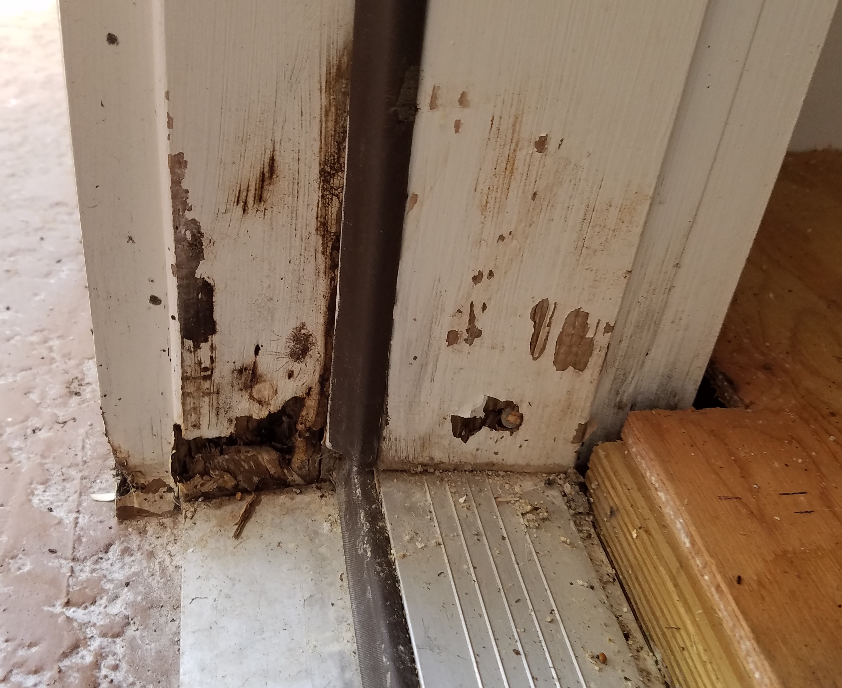 Rotted Back Door | Kilted Craft Works