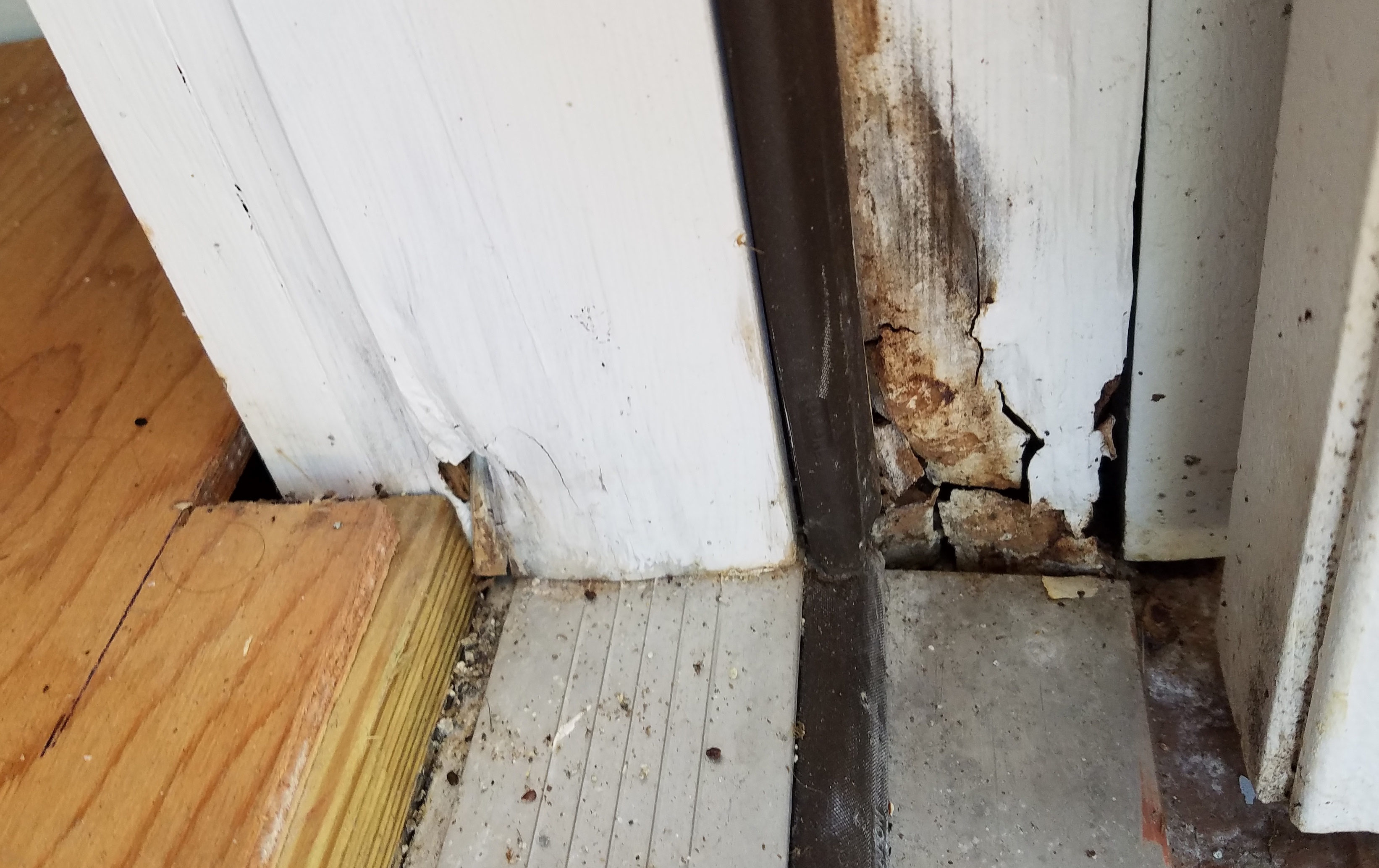 Rotted Back Door | Kilted Craft Works